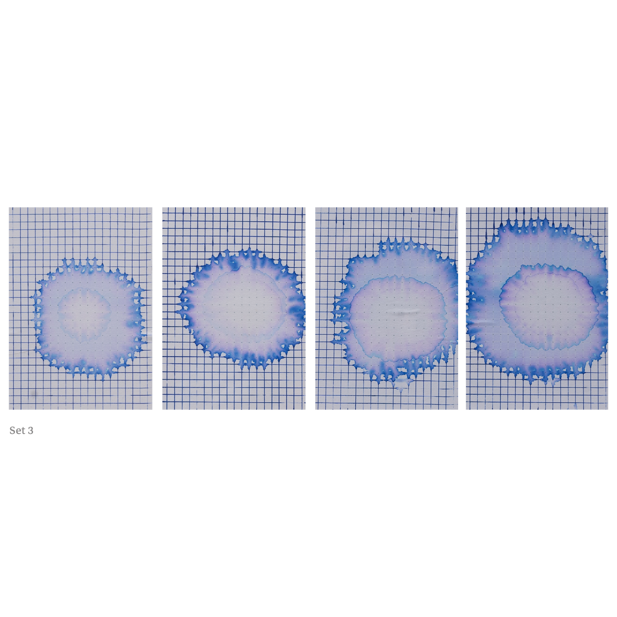 Teja Gavankar: Patterns of Intercity I, II, III – Red Earth